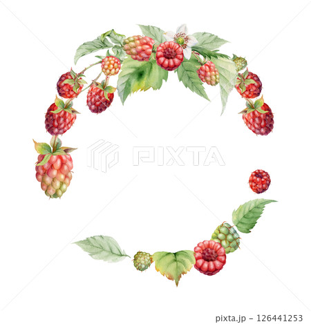 Raspberry wreath, ripe garden berries leaves on...のイラスト素材 [126441253 ...