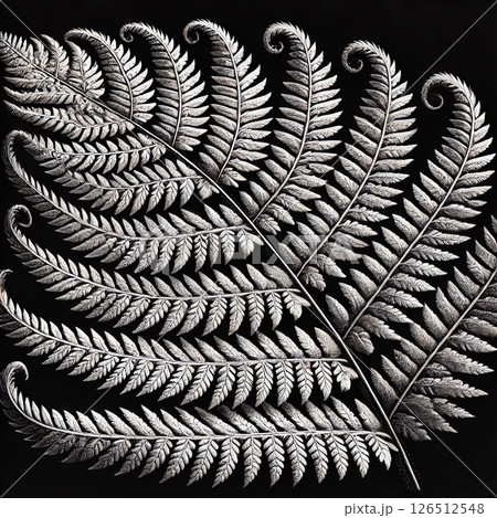 Shadow Fractals: Tree Fern on Blackのイラスト素材 [126512548] - PIXTA