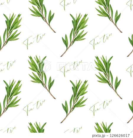 Tea tree branch with leaves seamless pattern....のイラスト素材 [126626017] - PIXTA