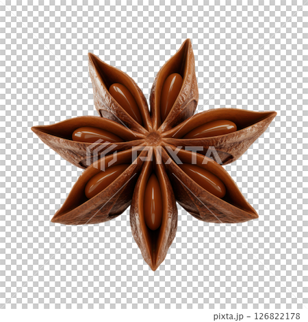 Aromatic Star Anise Spice Pod with Visible Seedsのイラスト素材 [126822178] - PIXTA