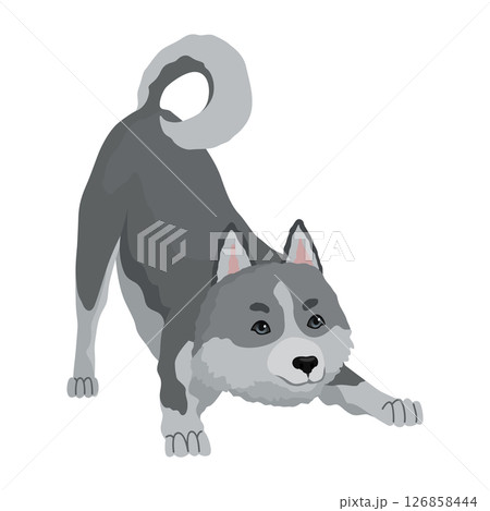 Cute gray wolf pose. Cartoon character of...のイラスト素材 [126858444] - PIXTA