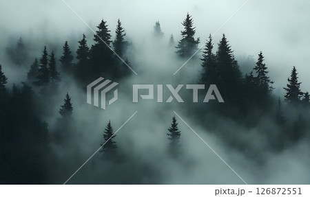 Ethereal Forest: Evergreen Trees Emerging from...のイラスト素材 [126872551 ...