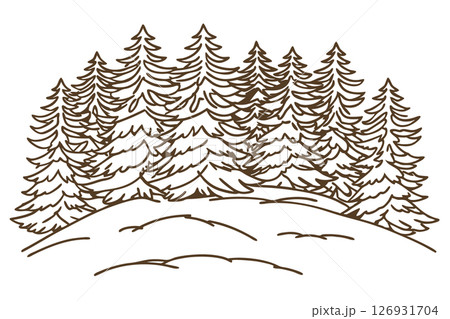 Dense evergreen coniferous forest illustration...のイラスト素材 [126931704 ...