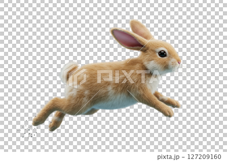 Brown young rabbit jumping in mid air isolated...のイラスト素材 [127209160 ...