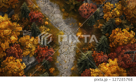 Detailed top-down battlemap of autumn forest,...のイラスト素材 [127285768] - PIXTA