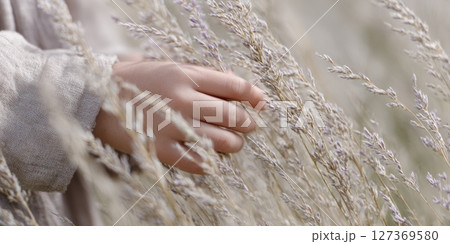 Hand glides over soft prairie grass, evoking...のイラスト素材 [127369580] - PIXTA