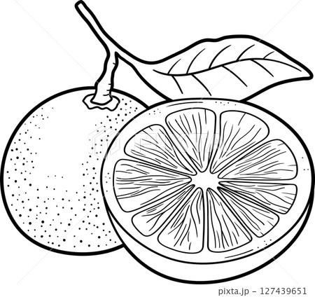 Complete blackness, lack of detail and visual...のイラスト素材 [127439651] - PIXTA