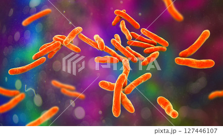 Niallia tiangongensis bacteria, 3D illustration...のイラスト素材 [127446107 ...