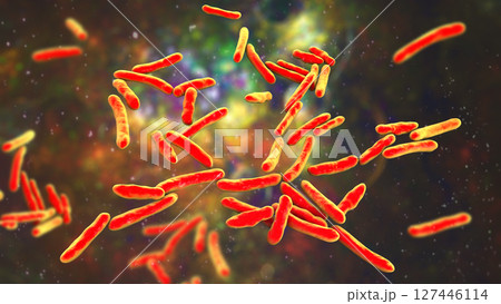 Niallia tiangongensis bacteria, 3D illustration...のイラスト素材 [127446114 ...