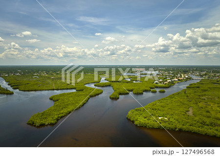 Overhead view of Everglades swamp with green...の写真素材 [127496568] - PIXTA