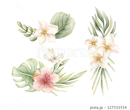 Tropical Hibiscus Plumeria Monstera Palm leaves...のイラスト素材 [127533554 ...