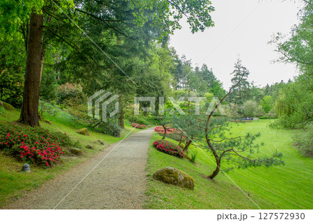Awe forest in Pays de La Loireの写真素材 [127572930] - PIXTA