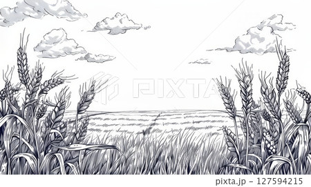 Black outline wheat field, hand-drawn meadow...のイラスト素材 [127594215] - PIXTA
