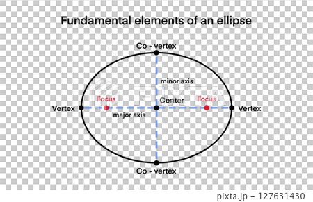 Fundamental elements of an ellipse, educational...のイラスト素材 [127631430 ...