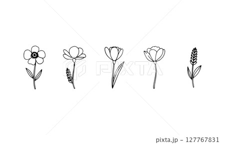 Curved Botanical Sprays. A balanced floral...のイラスト素材 [127767831] - PIXTA