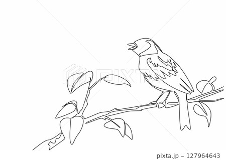 Continuous one line drawing dunnock bird...のイラスト素材 [127964643] - PIXTA