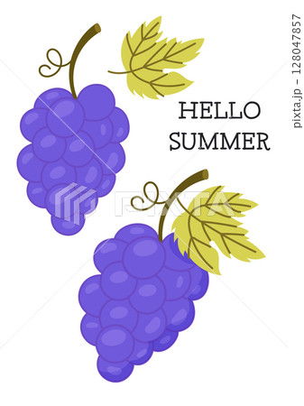 Purple grapes with green leaves and hello...のイラスト素材 [128047857] - PIXTA