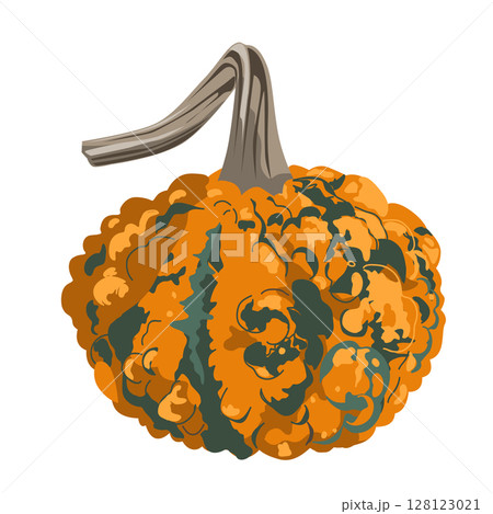 Funny small decorative pimpled pumpkin...のイラスト素材 [128123021] - PIXTA