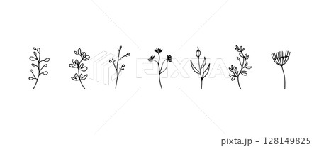Wildflower Sprigs. Wildflower line art with...のイラスト素材 [128149825] - PIXTA
