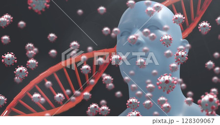 Image of DNA strand spinning with Covid 19...のイラスト素材 [128309067] - PIXTA