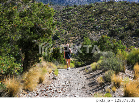 Hiker Walking Along a Winding Trail in a...の写真素材 [128378339] - PIXTA