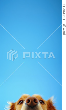Bright blue background featuring a curious...のイラスト素材 [128498515] - PIXTA