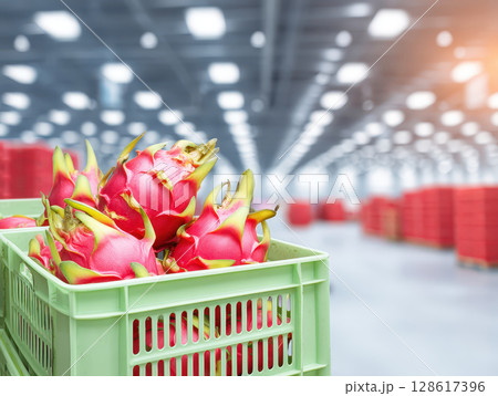 Fresh processed dragon fruit in green plastic...のイラスト素材 [128617396] - PIXTA