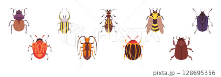 Insect Bugs and Beetle with Antenna and...のイラスト素材 [128695356] - PIXTA