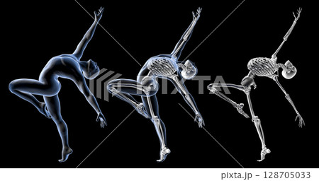 Anatomy of dancing and ballet, 3D illustrationのイラスト素材 [128705033] - PIXTA