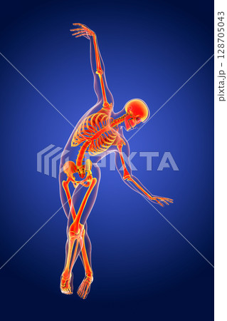 Anatomy of dancing and ballet, 3D illustrationのイラスト素材 [128705043] - PIXTA