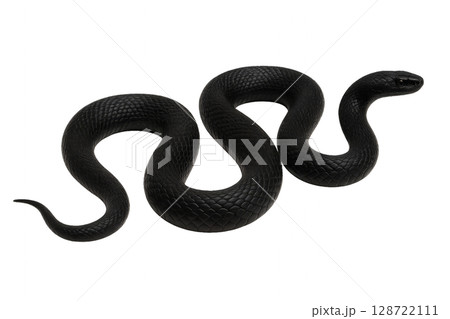 Black Snake Slithering Gracefully Across a...のイラスト素材 [128722111] - PIXTA