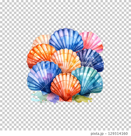 Colorful scallop shells on white backgroundのイラスト素材 [129314160] - PIXTA