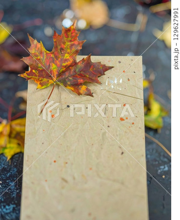 Autumn Maple Leaf on Tan Paper with Orange and...のイラスト素材 [129627991 ...