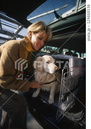 pet carrier being loaded into trunk by pet...のイラスト素材 [129888536] - PIXTA
