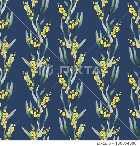 Golden wattle blooming branches with flowers...のイラスト素材 [130054600] - PIXTA