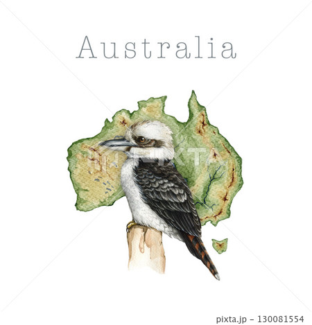 Kookaburra bird in front of Australia continent...のイラスト素材 [130081554 ...