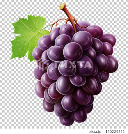 grapeのイラスト素材 [130229232] - PIXTA