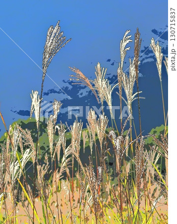 草原のススキ（afr20250906162748）のイラスト素材 [130715837] - PIXTA
