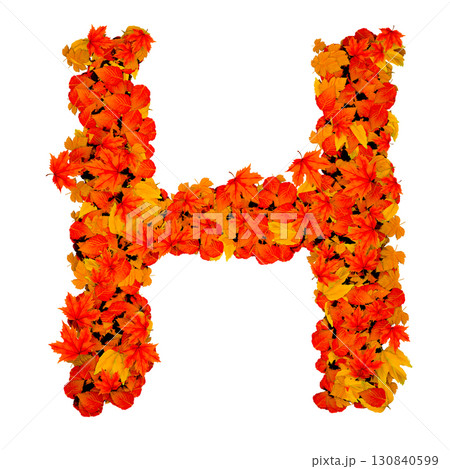 Letter H crafted from fall leavesのイラスト素材 [130840599] - PIXTA