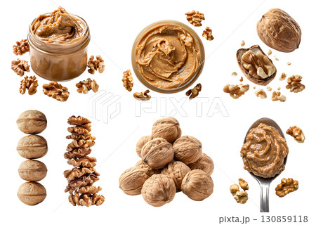 Walnut walnuts nut drupe seed fruit, many...のイラスト素材 [130859118] - PIXTA