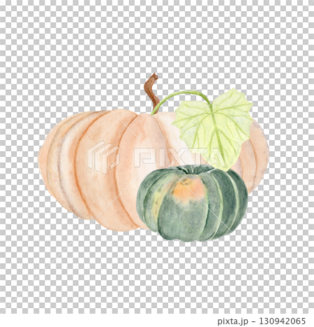 Beige pumpkin, green squash, and fresh leaf...のイラスト素材 [130942065] - PIXTA