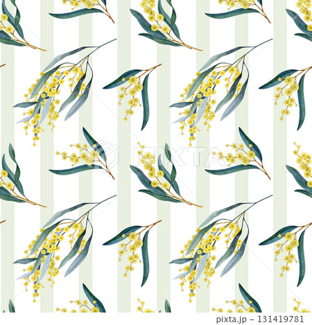 Golden wattle flowers on striped background...のイラスト素材 [131419781] - PIXTA