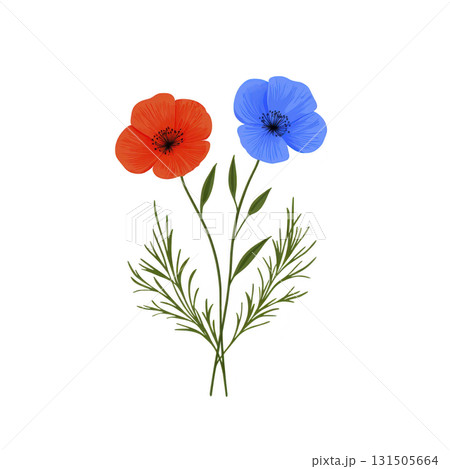 Two vibrant flowers, one red and one blue, with...のイラスト素材 [131505664 ...