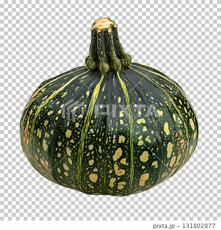 Isolated green kabocha squash with yellow...のイラスト素材 [131802877] - PIXTA