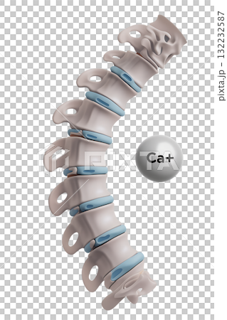 Spinal health and calcium concept 3d...のイラスト素材 [132232587] - PIXTA