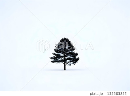 Lone Pine Tree in Snowy Minimal Landscapeのイラスト素材 [132383835] - PIXTA