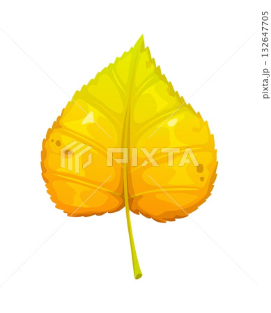 Cartoon linden leaf from autumn season tree....のイラスト素材 [132647705] - PIXTA