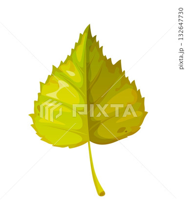 Cartoon linden leaf from autumn season tree....のイラスト素材 [132647730] - PIXTA