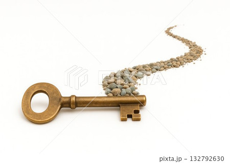 A key on the ground with a path made of stones....のイラスト素材 [132792630 ...