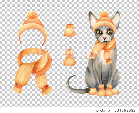 Warm clothes for animals clip art constructor....のイラスト素材 [133568983 ...